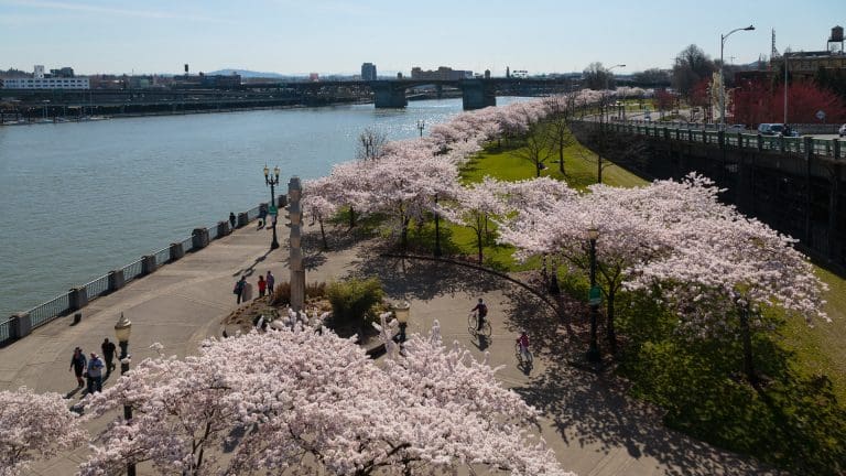 Offices | Kittelson & Associates, Inc.