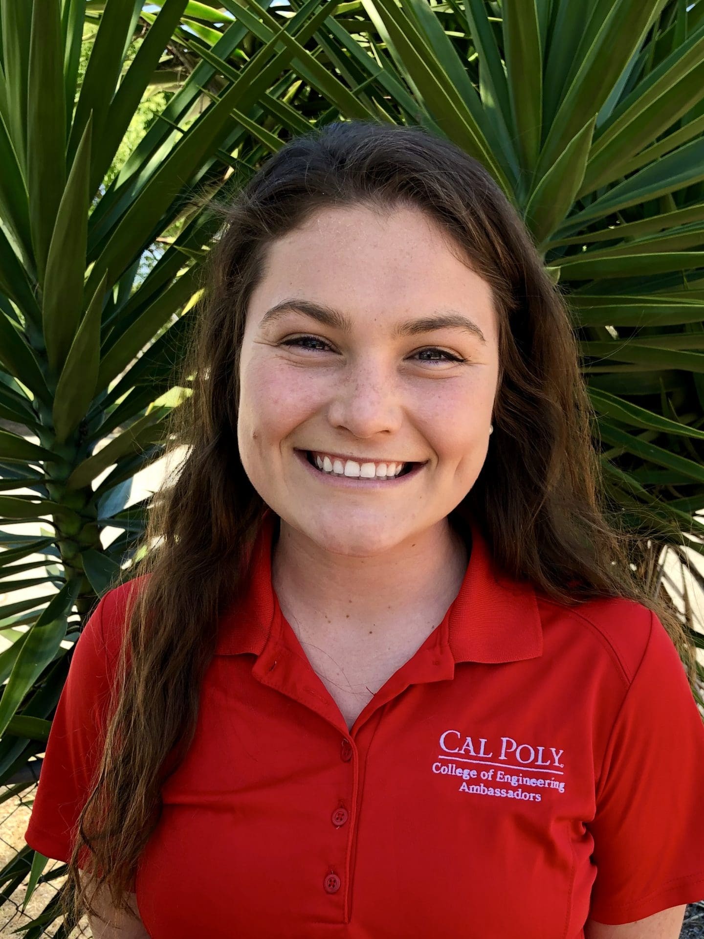 Kittelson Welcomes Our 2020 Intern Class, Kicks Off First-Ever Virtual ...